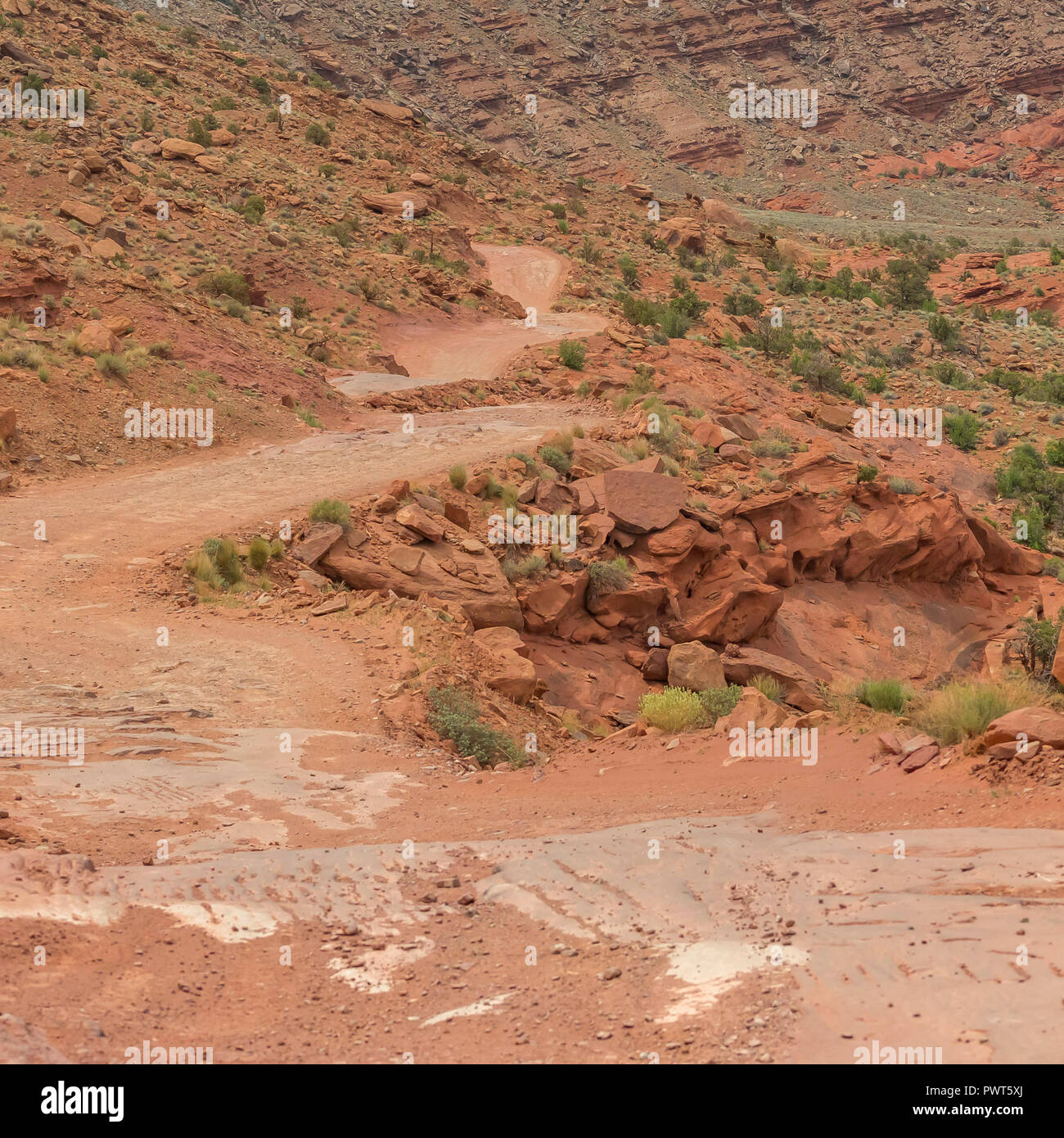 Rugged off road trails hi-res stock photography and images - Alamy