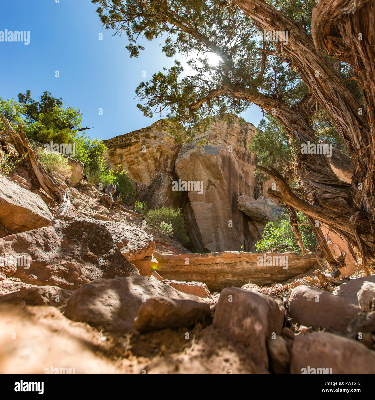 Jagged rocks bushes hi-res stock photography and images - Alamy