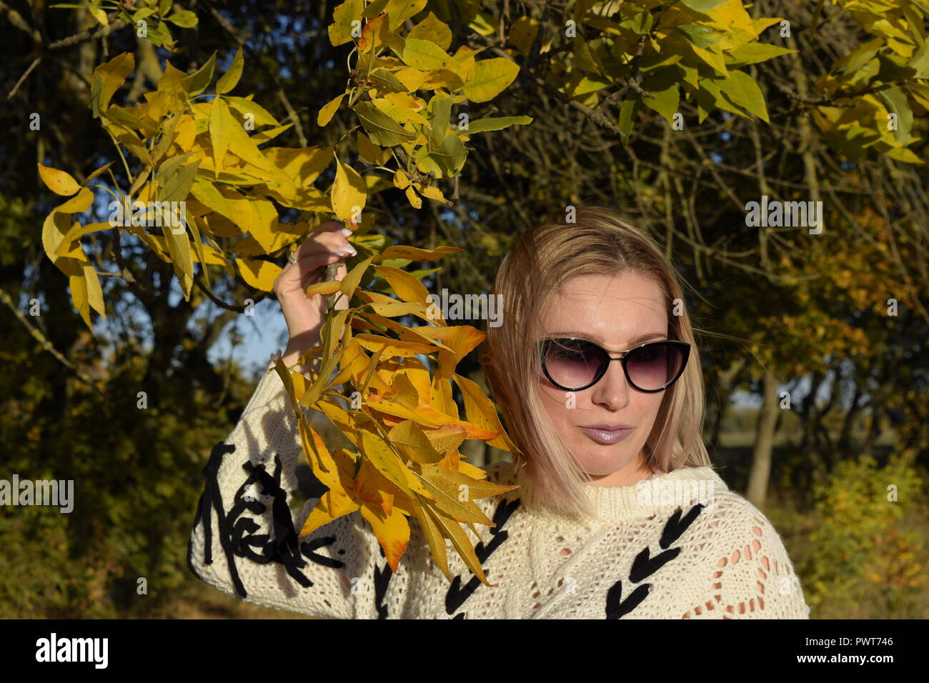 Girl on a background of yellow leaves of autumn trees. Girl in ...