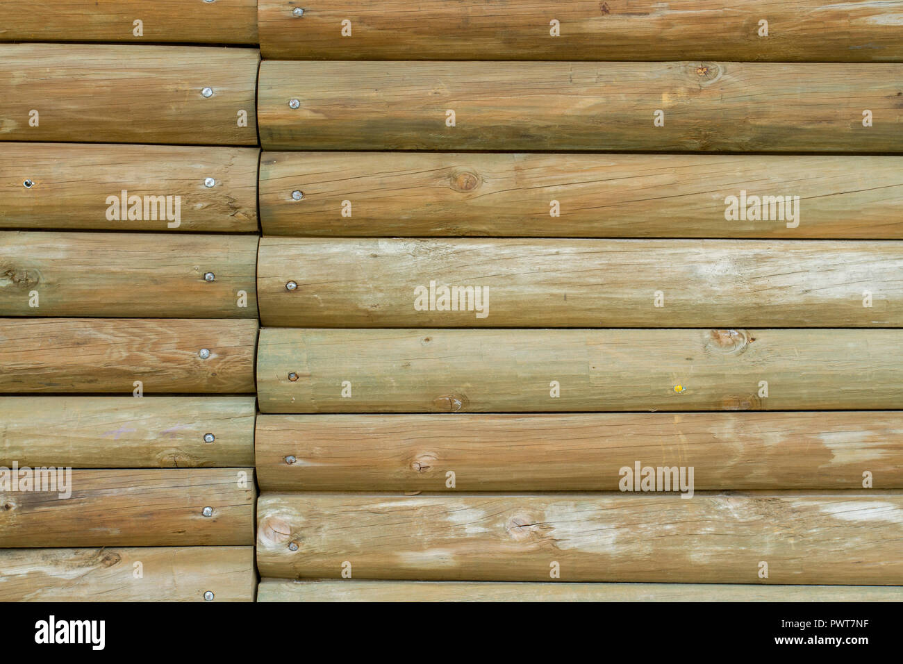 green wall made with wooden logs, horizontal lines Stock Photo - Alamy