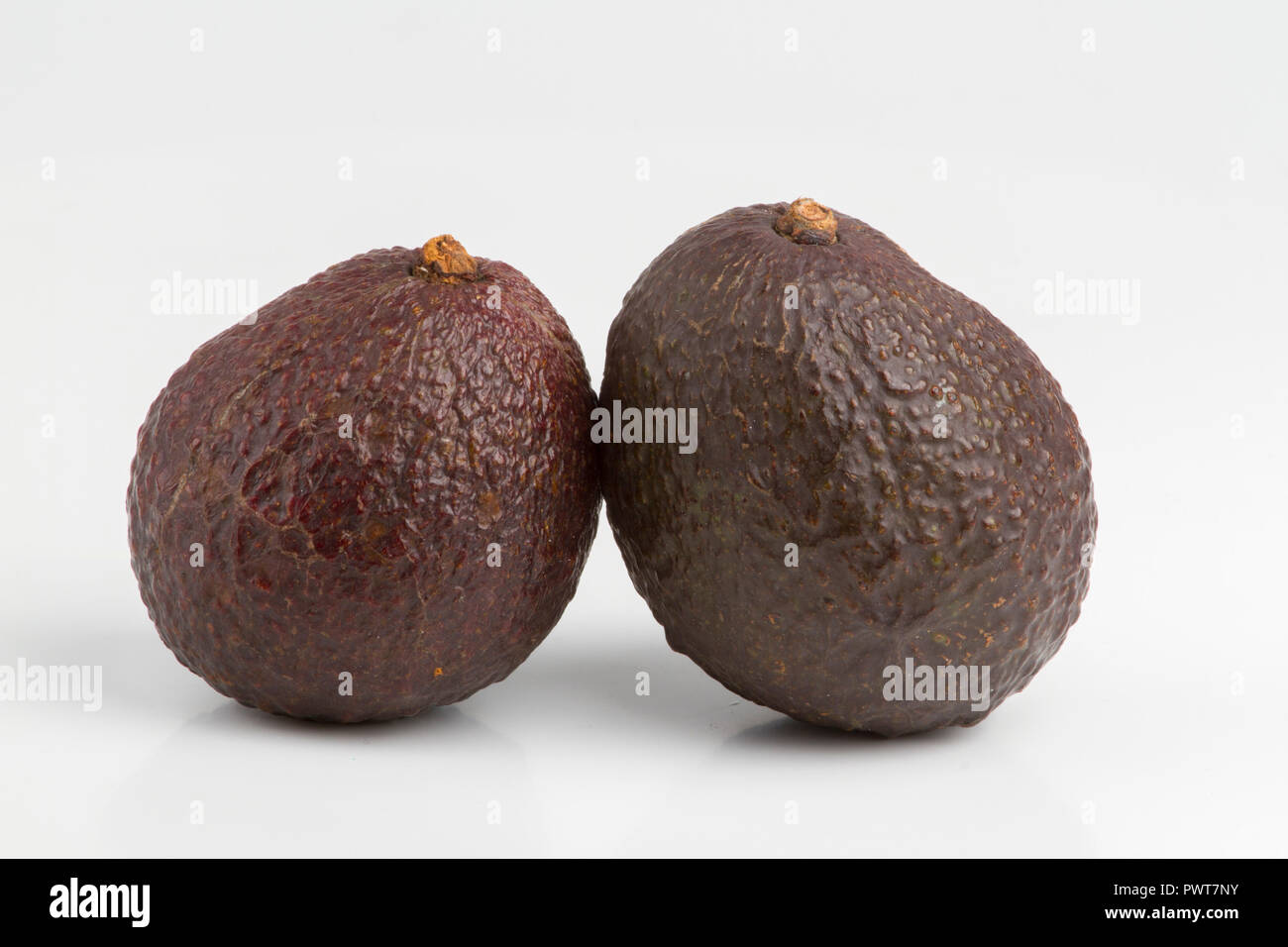 avocado fruits isolated on white background Stock Photo - Alamy