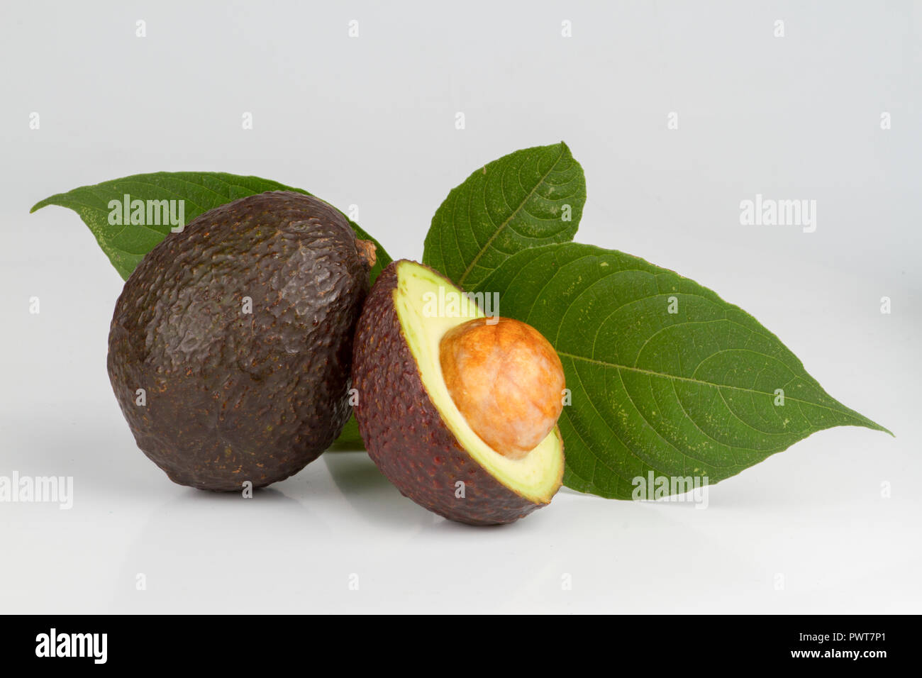 avocado fruits isolated on white background Stock Photo - Alamy