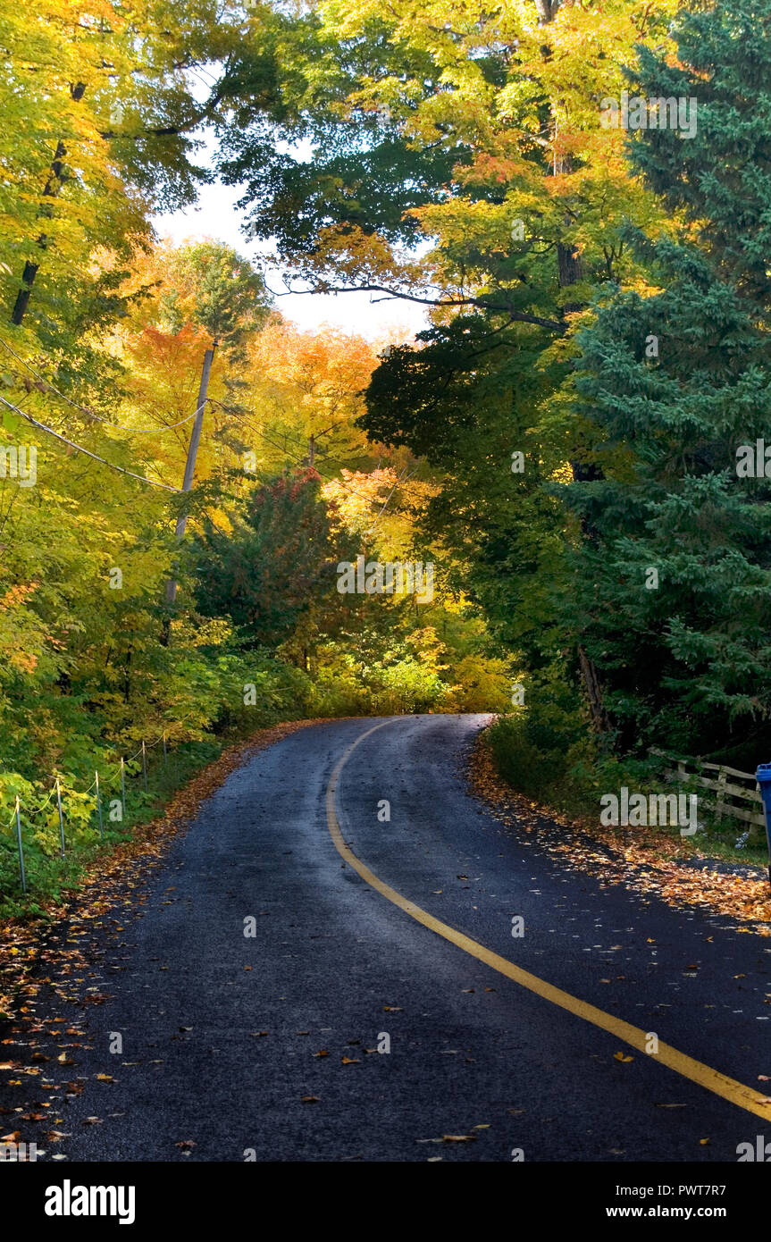 Beautiful Curved Country Road in Autumn Vertical Stock Photo - Alamy
