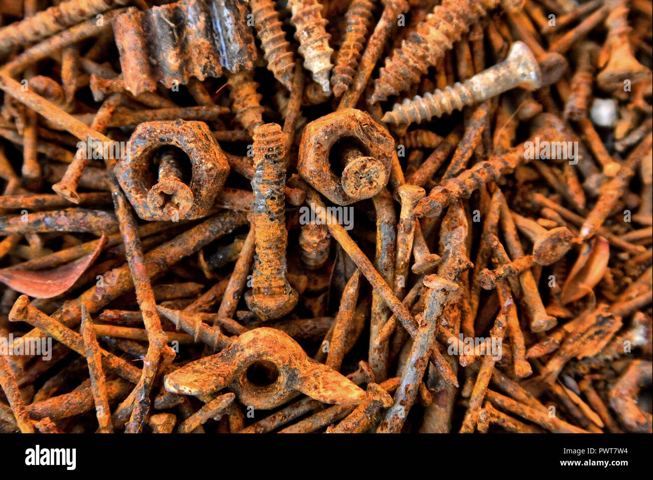 Screw Head From Above High Resolution Stock Photography and Images - Alamy