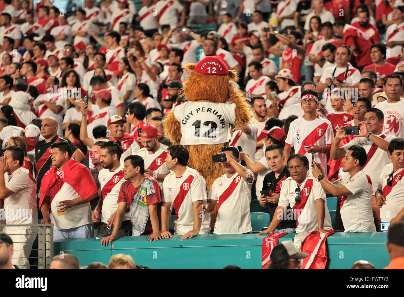 Peru Soccer Fans