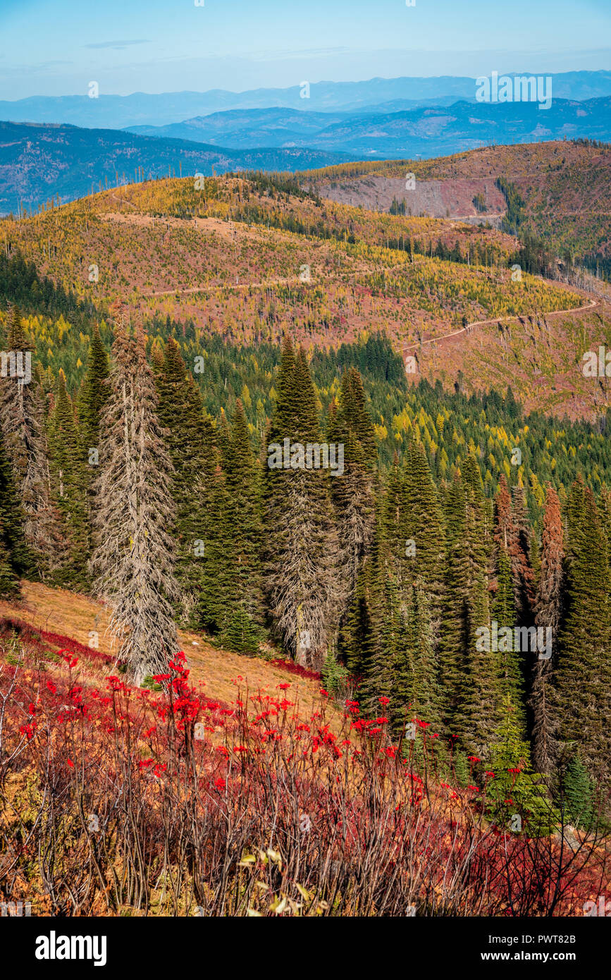 Autumn Scenery in Mount Spokane State Park, Spokane, Washington, USA ...