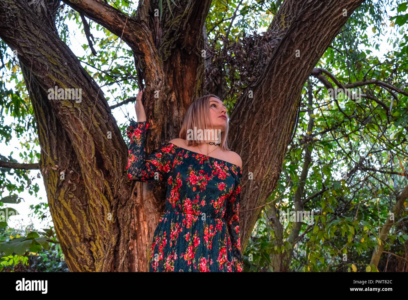 Lady under a big willow tree. Woman in a dress Stock Photo - Alamy