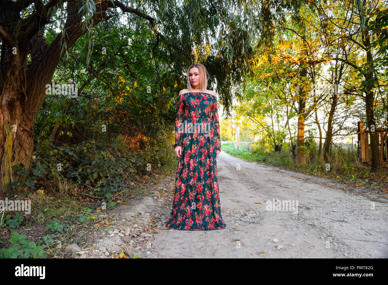 Lady under a big willow tree. Woman in a dress Stock Photo - Alamy