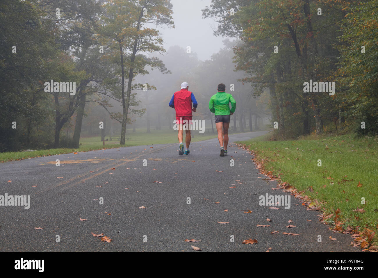 Pair of fit male mature runners in bright clothing through a bleak ...