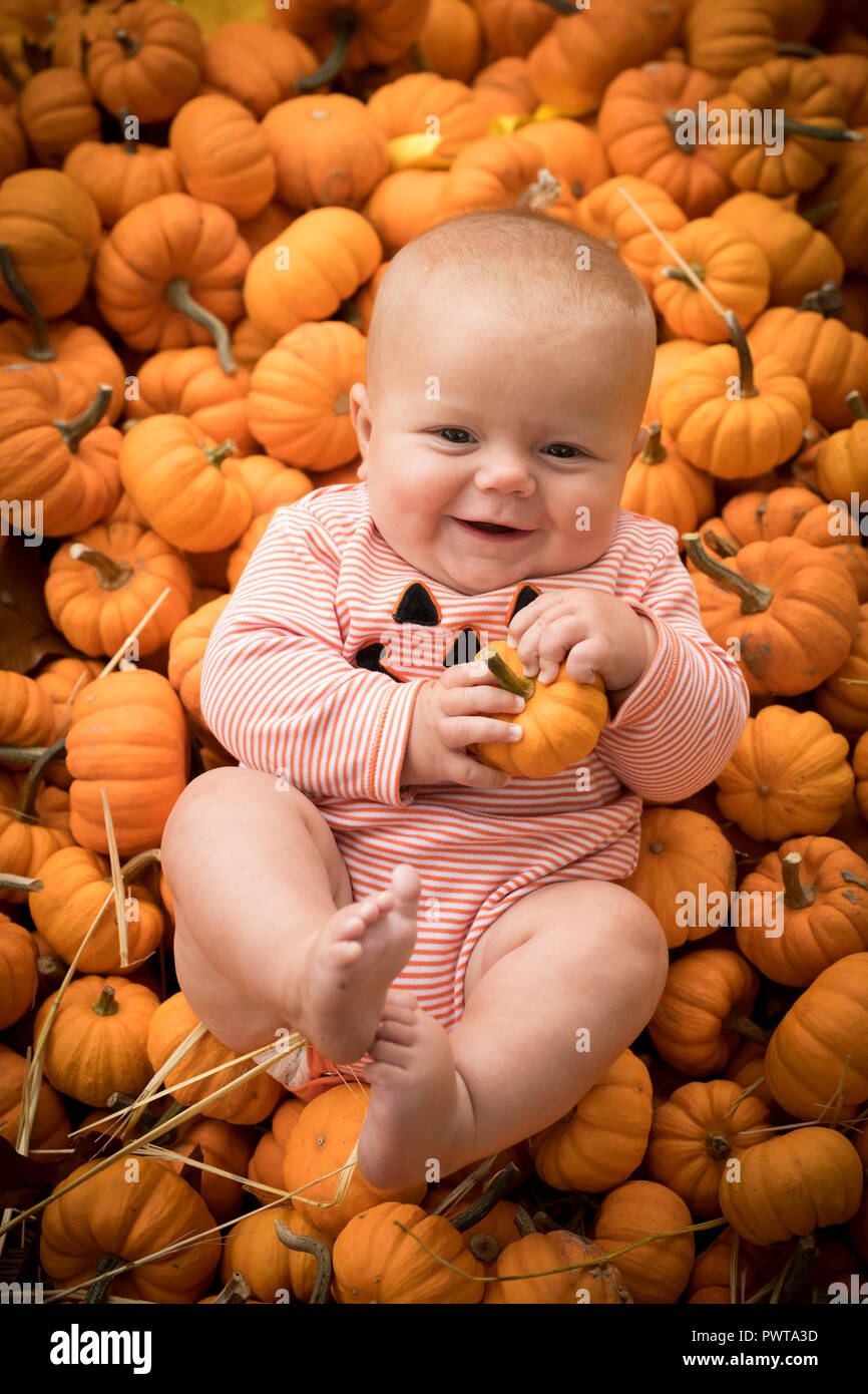 Autumn Fall Halloween Pumpkin Baby Stock Photo - Alamy