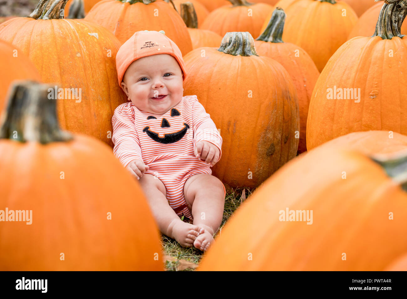 Autumn Fall Halloween Pumpkin Baby Stock Photo - Alamy