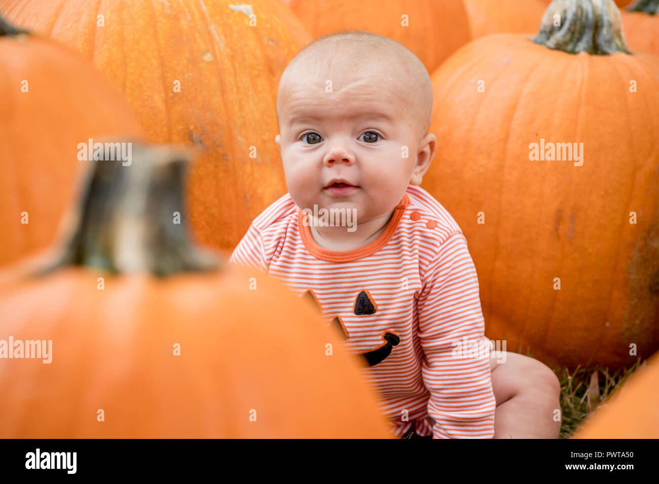 Smile pose autumn fall hi-res stock photography and images - Alamy