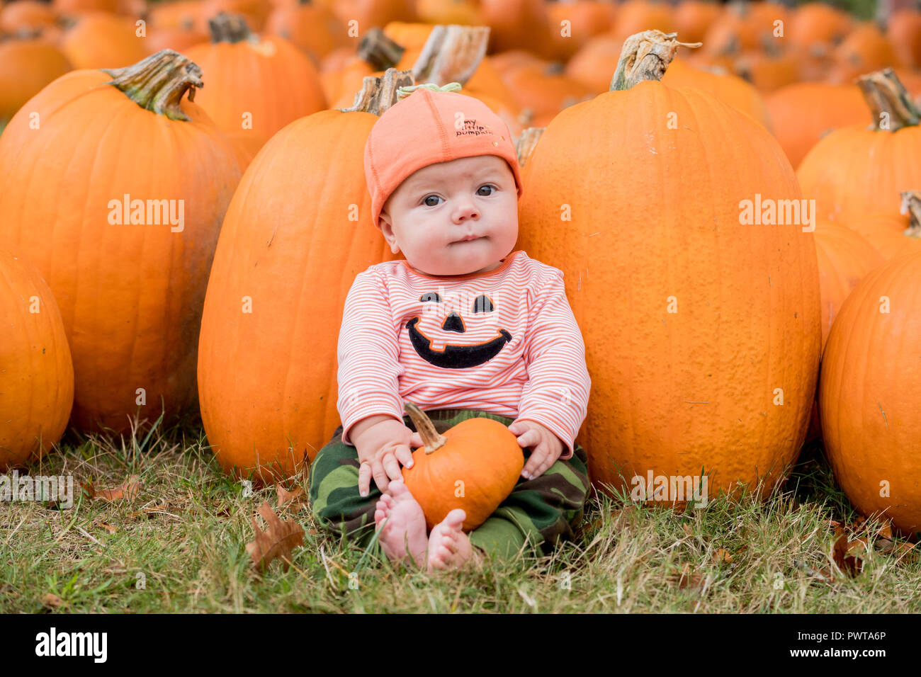 Autumn Fall Halloween Pumpkin Baby Stock Photo - Alamy