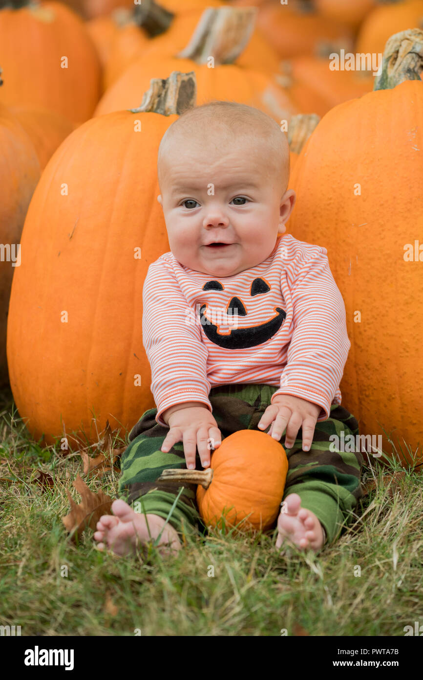 Autumn fall halloween hi-res stock photography and images - Alamy