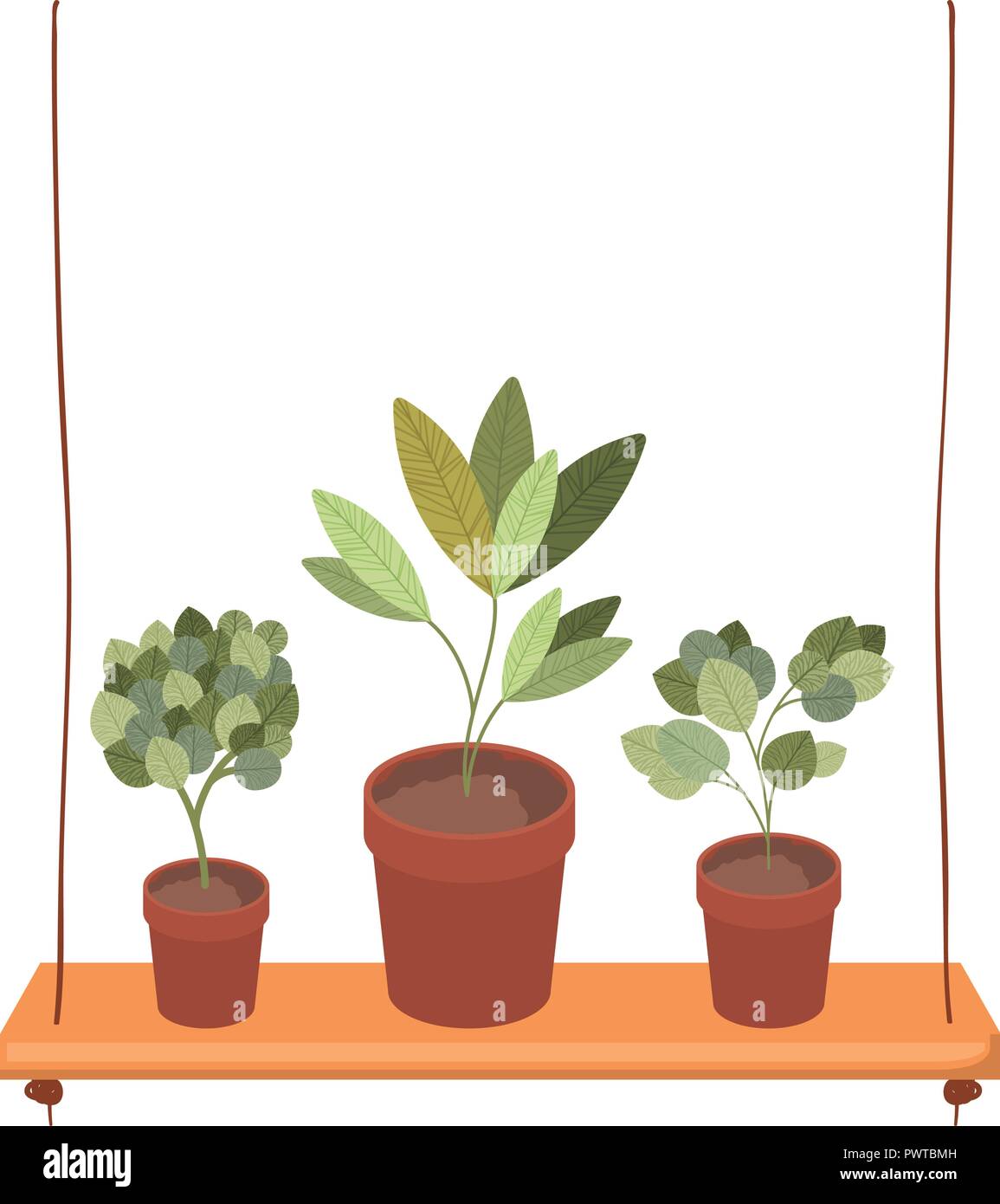 shelf plants isolated icon Stock Vector Image & Art - Alamy
