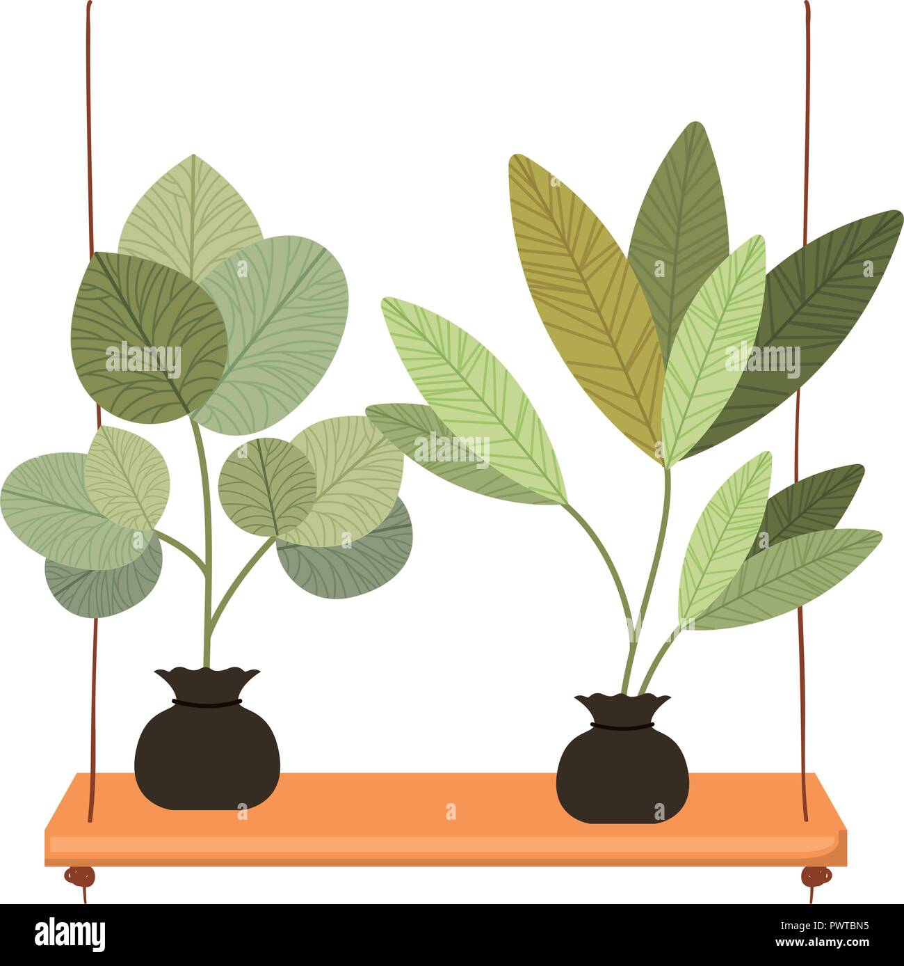 shelf plants isolated icon Stock Vector Image & Art - Alamy