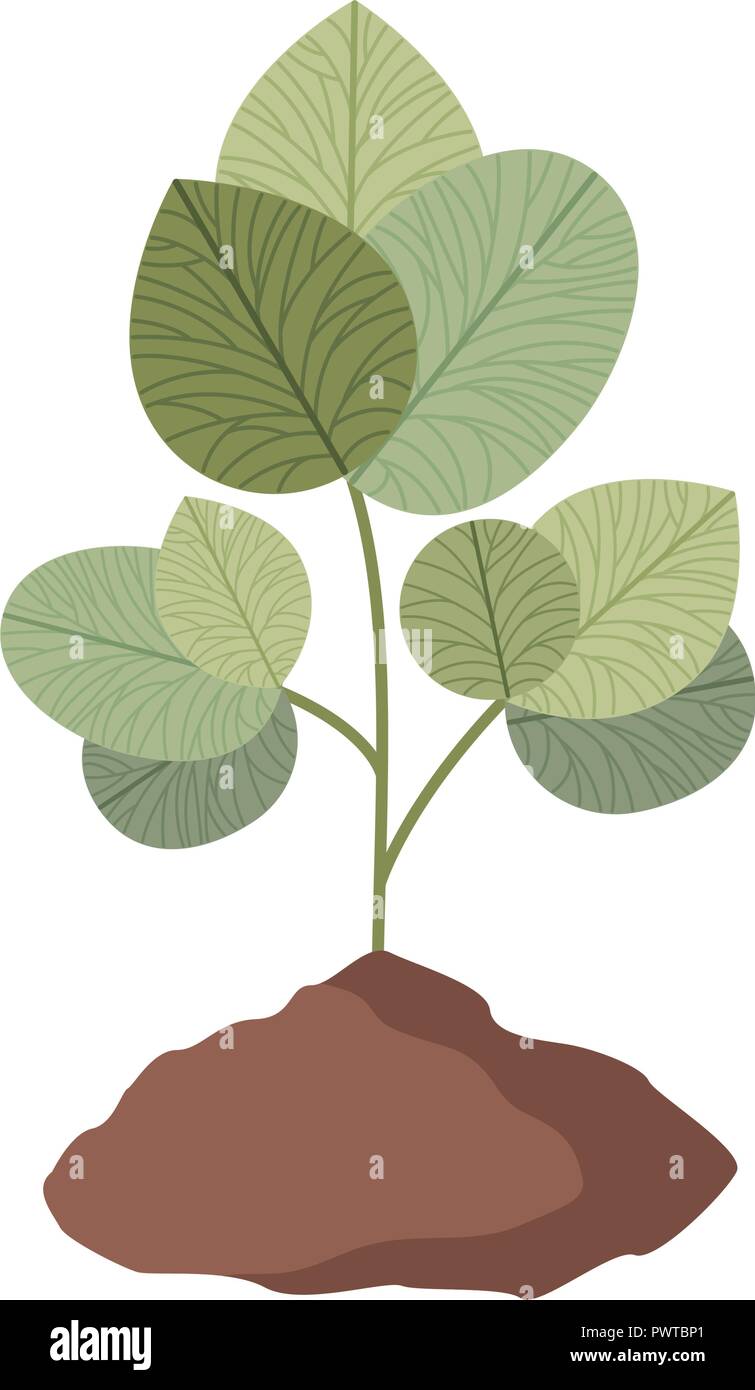 cute tree plant with earth isolated icon Stock Vector Image & Art - Alamy