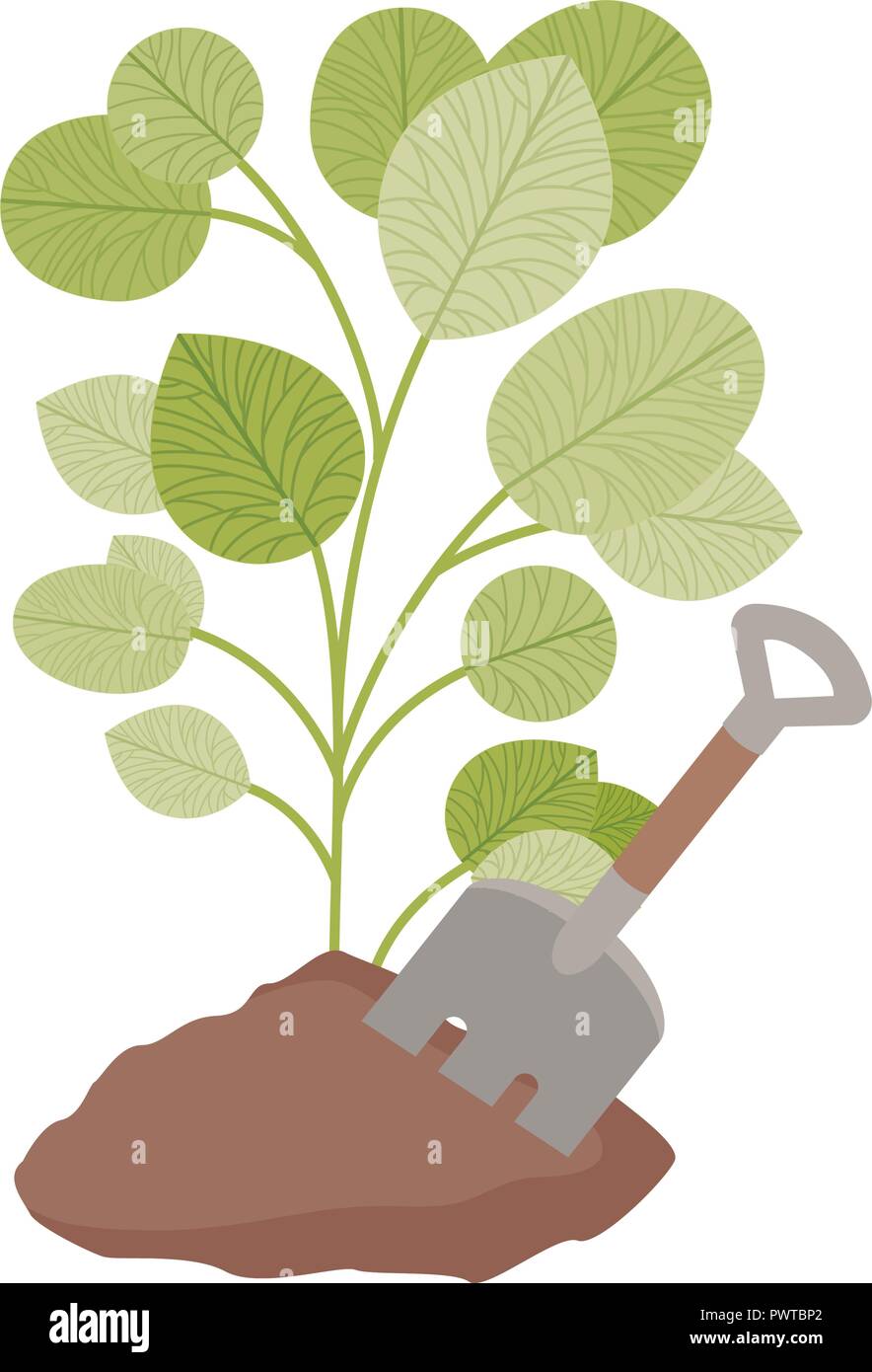 cute tree plant with earth isolated icon Stock Vector Image & Art - Alamy