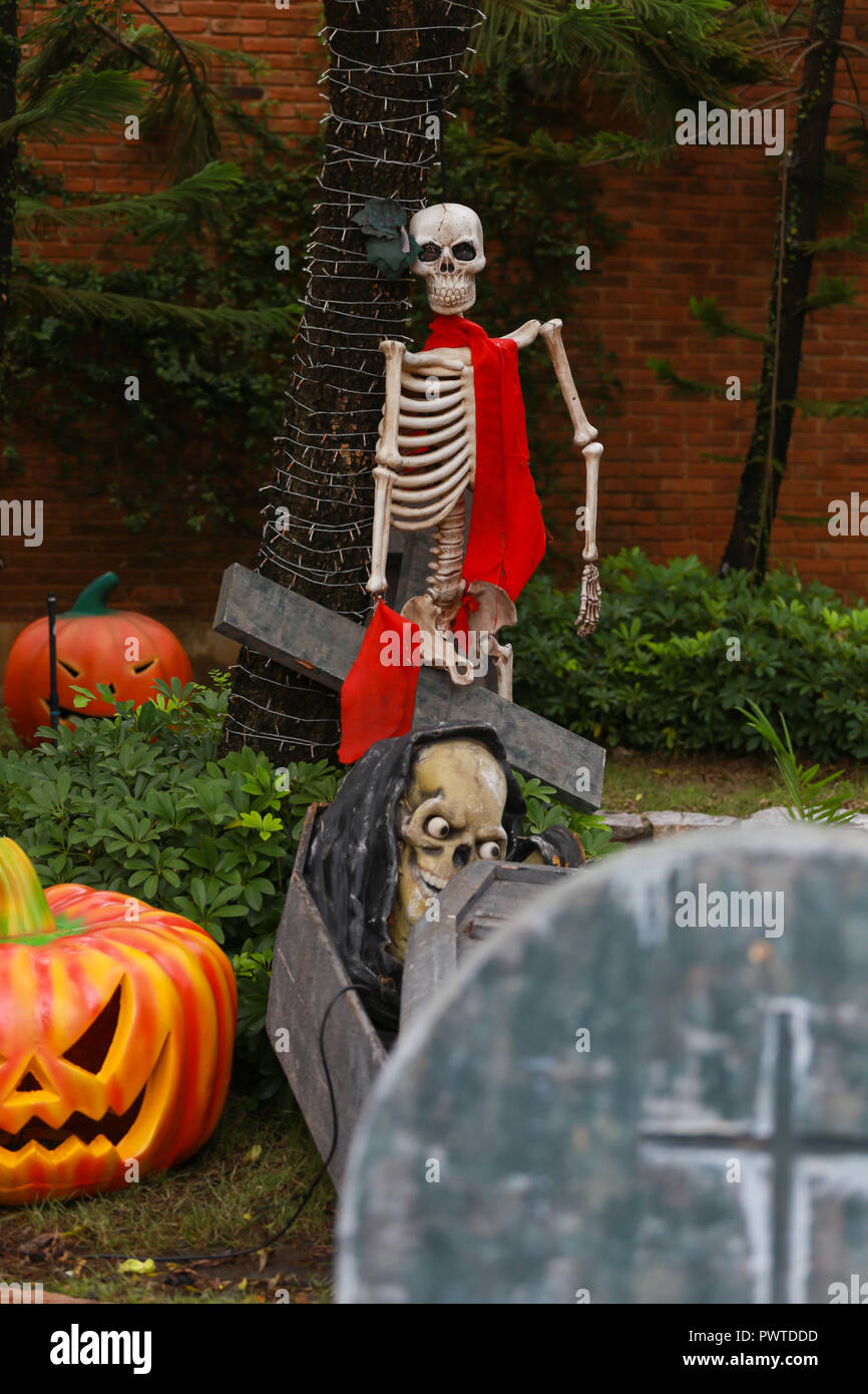 Front side view of human skull zombie man. Horror, Halloween concept ...