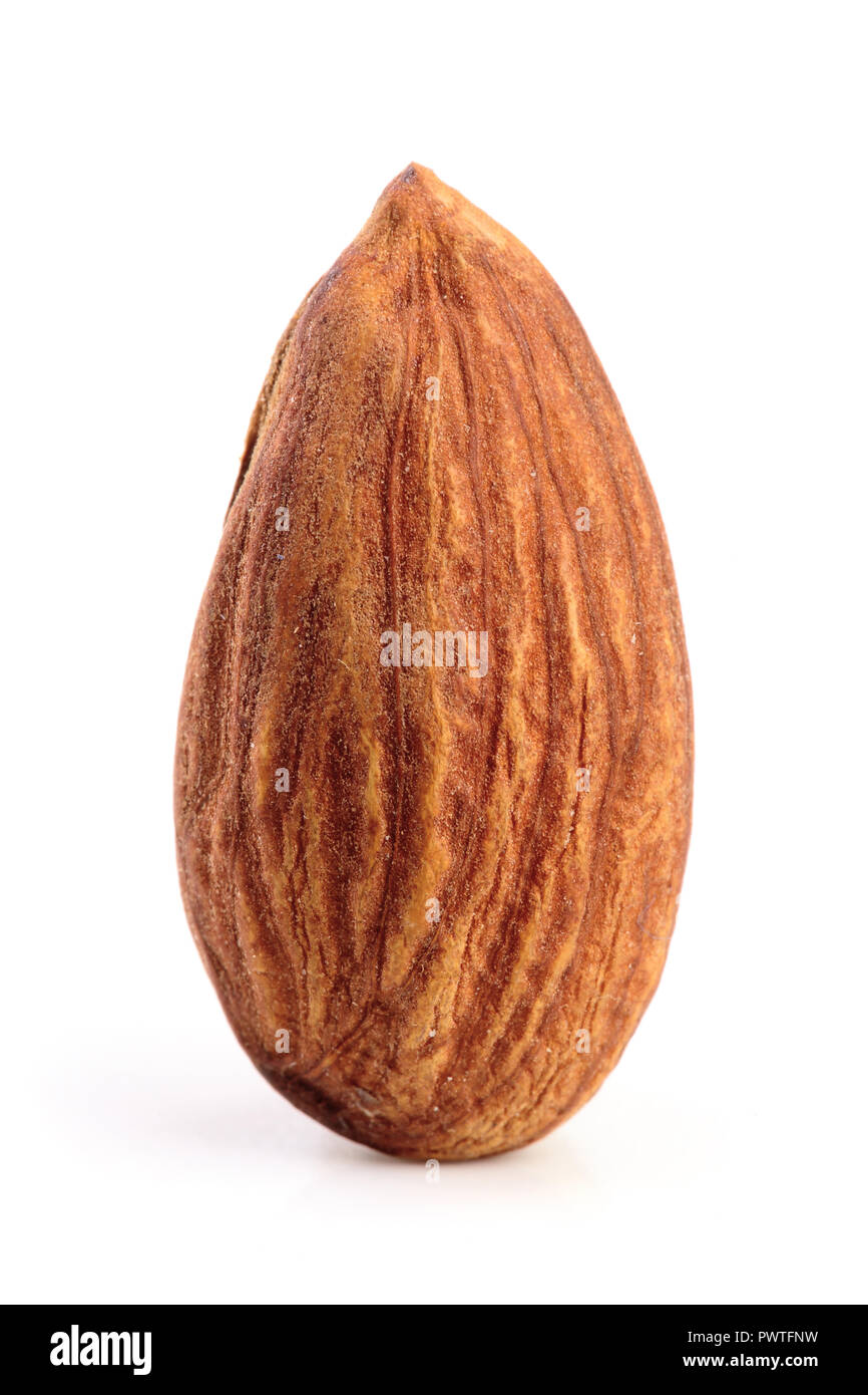 One Almond Nut