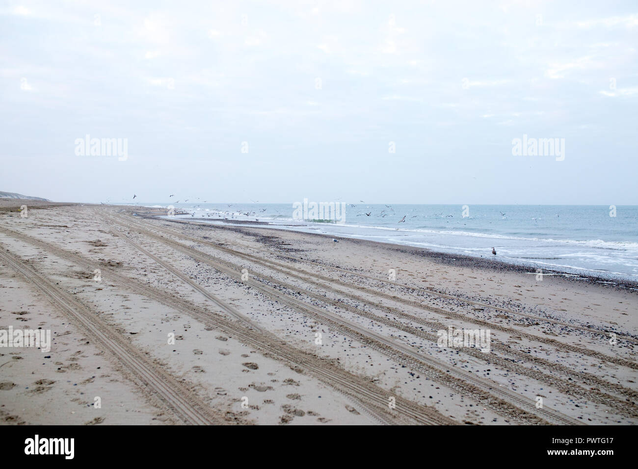 Beach in the Netherlands Stock Photo - Alamy