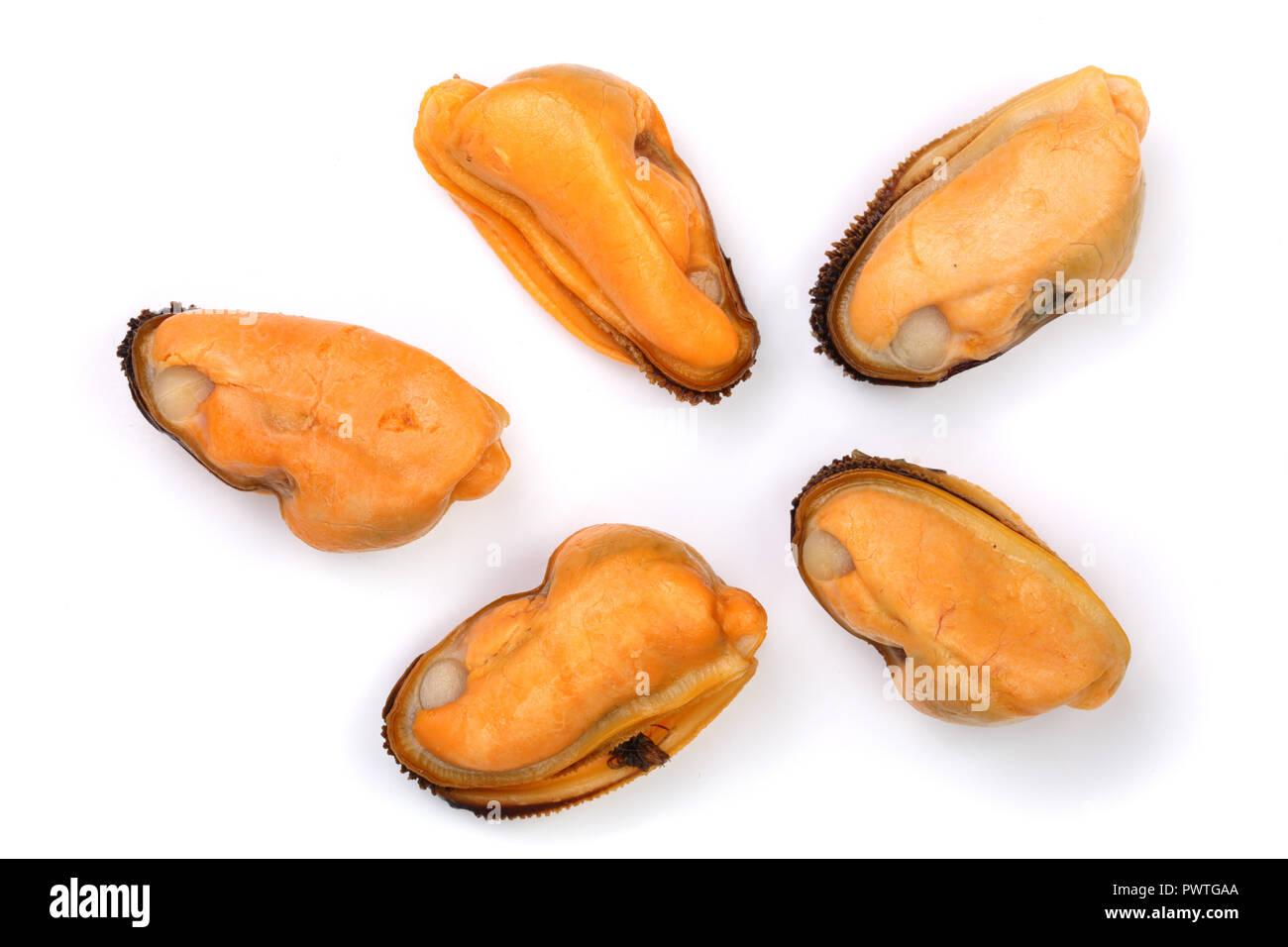 Five mussels Cut Out Stock Images & Pictures - Alamy