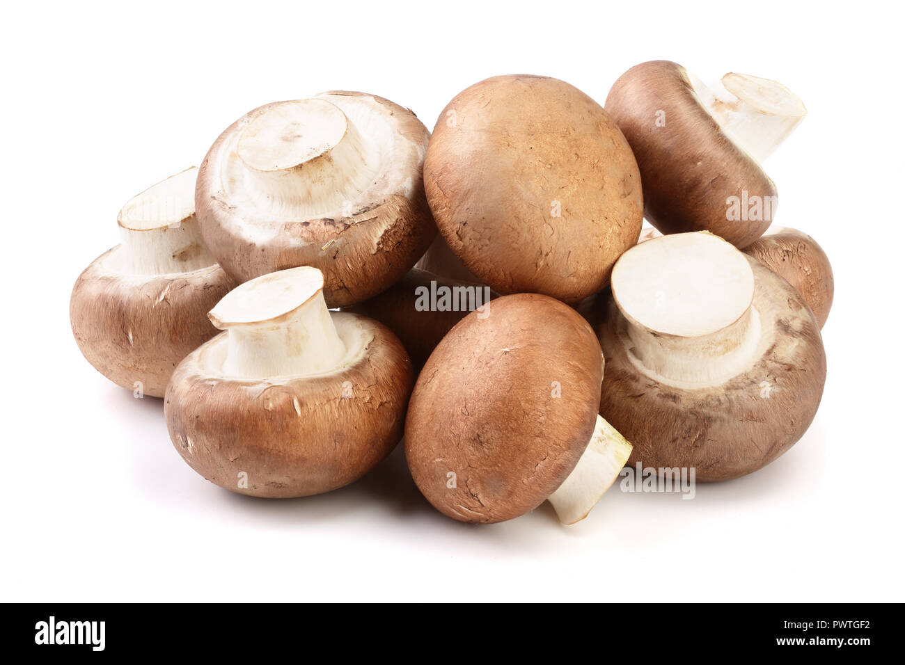 Royal Brown champignon isolated on white background Stock Photo - Alamy