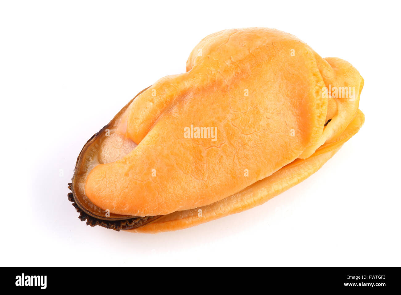 One mussel without shell isolated on white background Stock Photo - Alamy