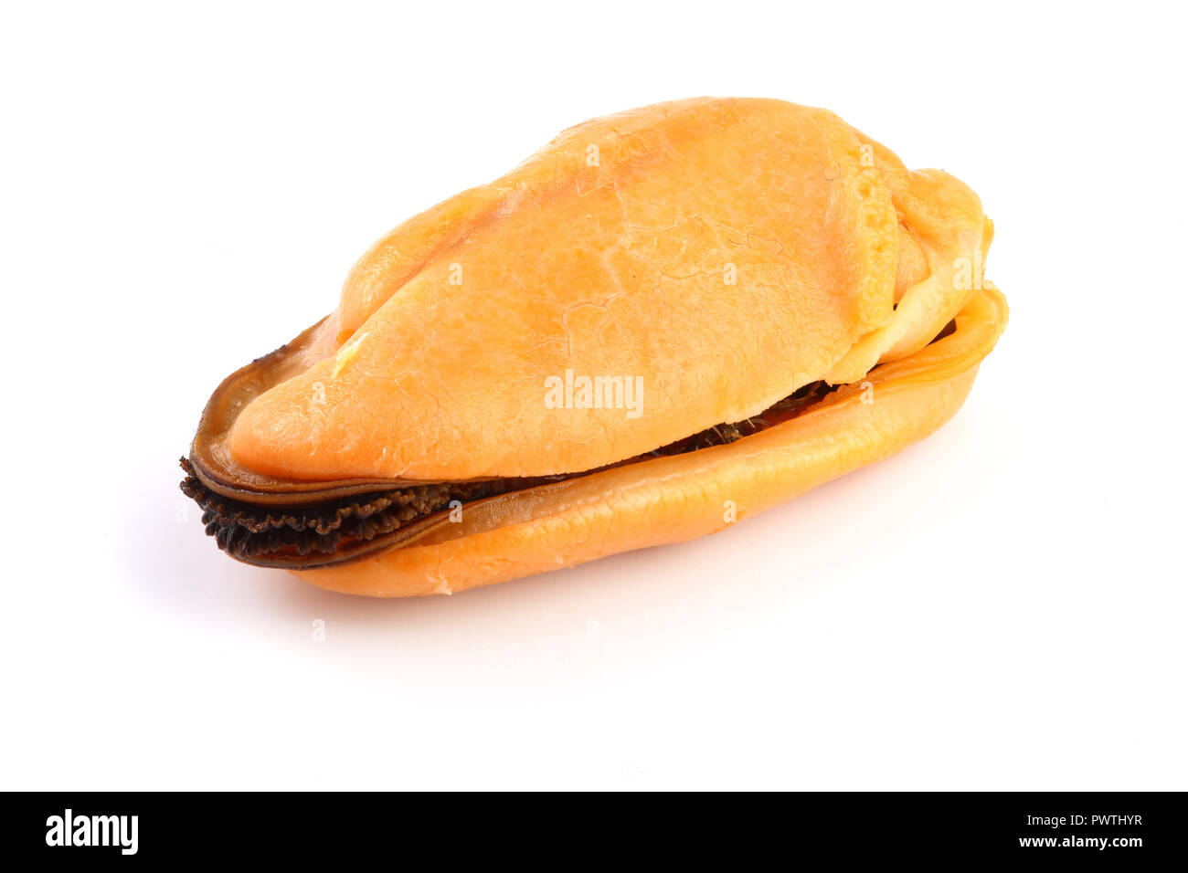 One mussel without shell isolated on white background Stock Photo - Alamy
