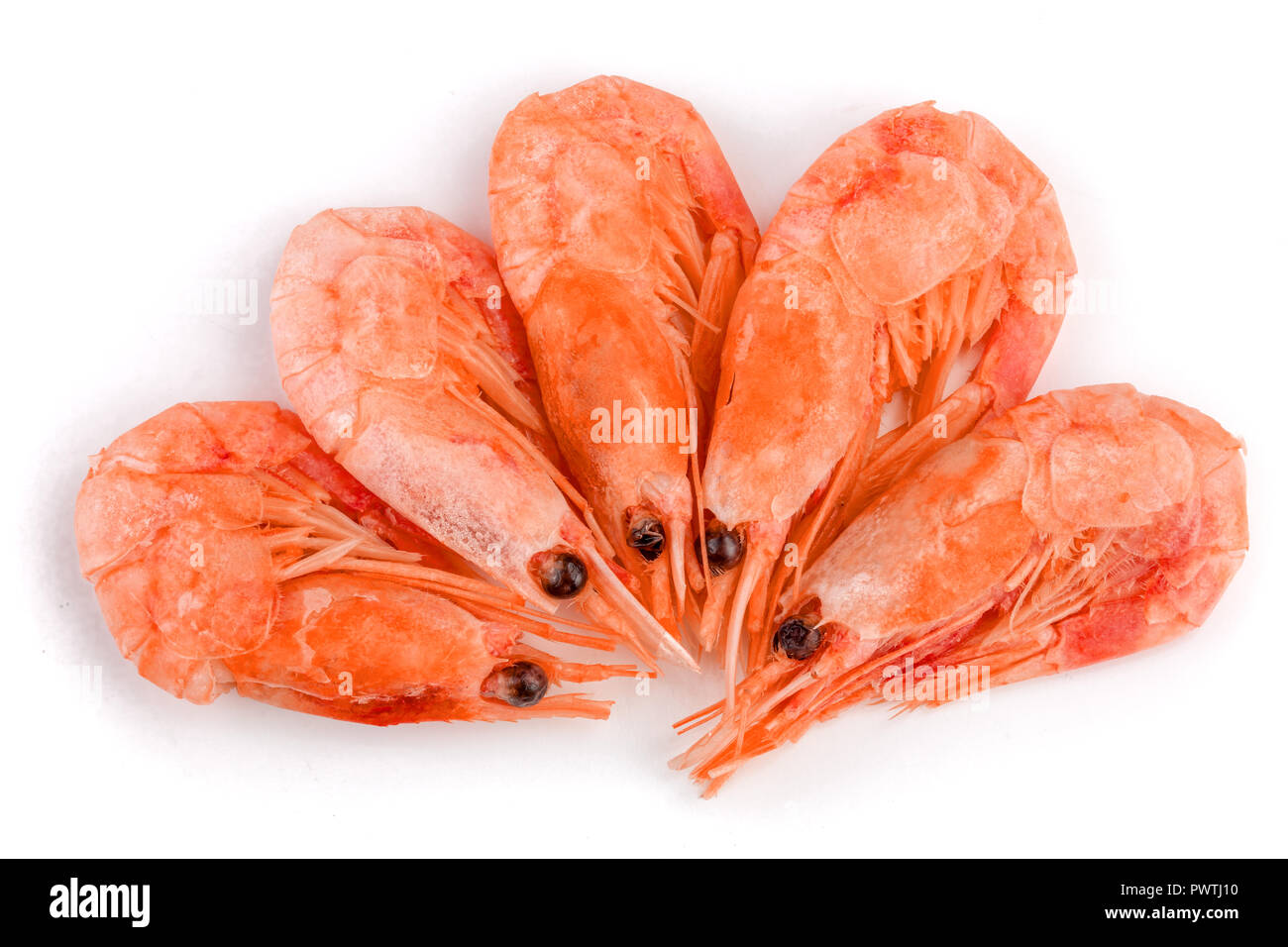 Red cooked prawn or shrimp isolated on white background Stock Photo - Alamy