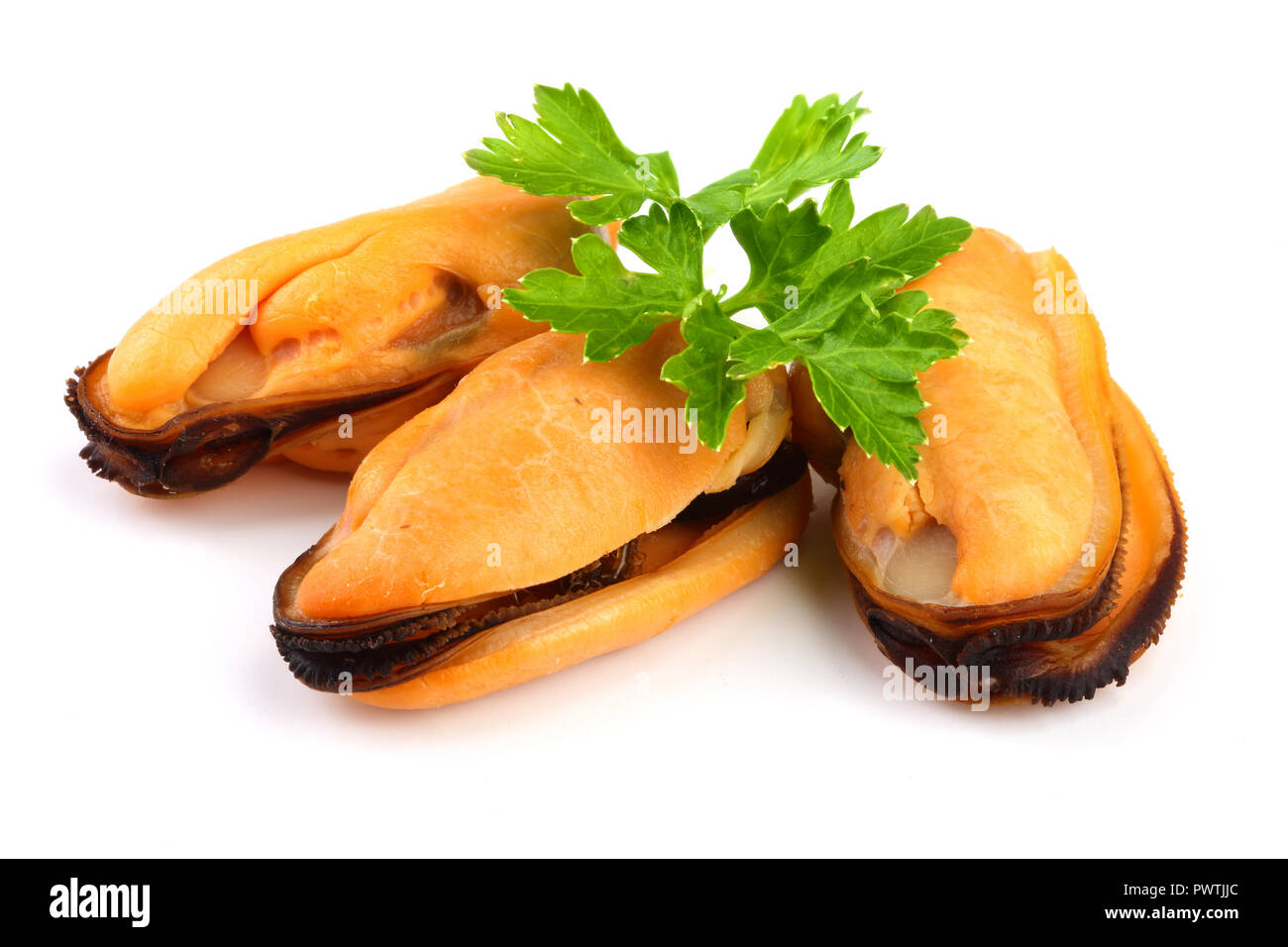 three mussel with parsley leaf isolated on white background Stock Photo ...