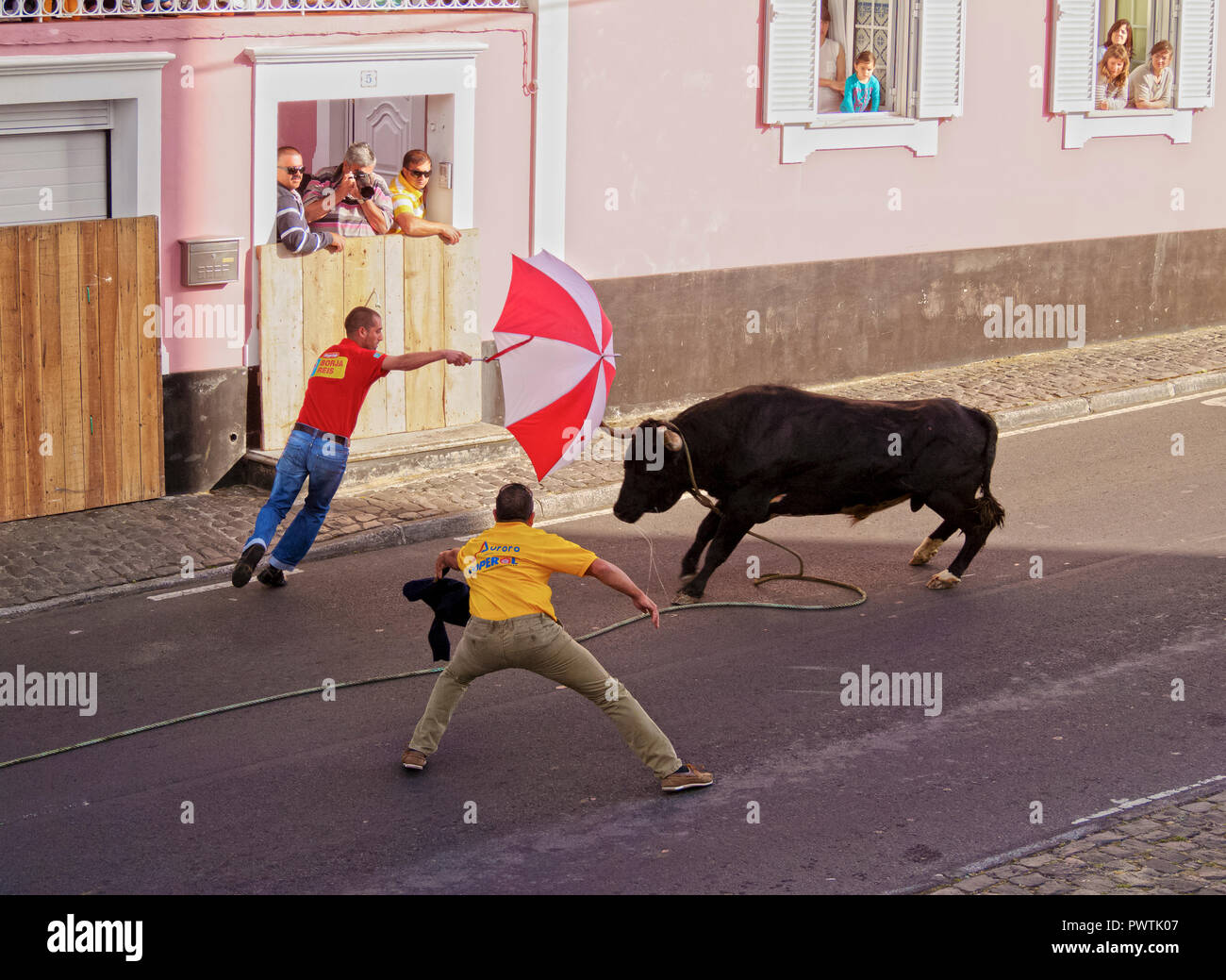 Azores bullfighting hi-res stock photography and images - Alamy