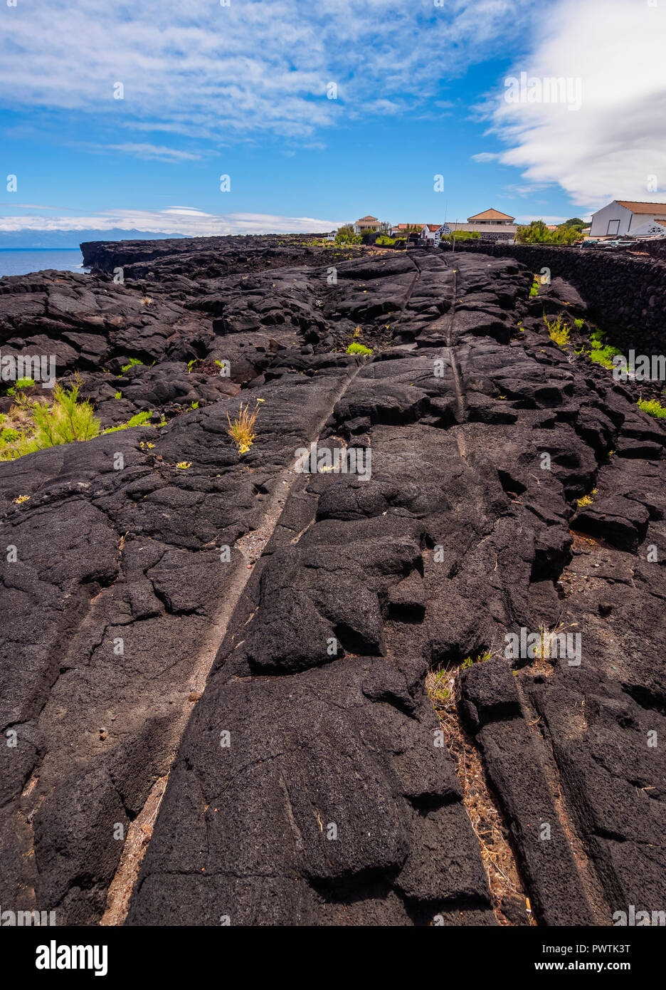 Made in the azores hi-res stock photography and images - Alamy