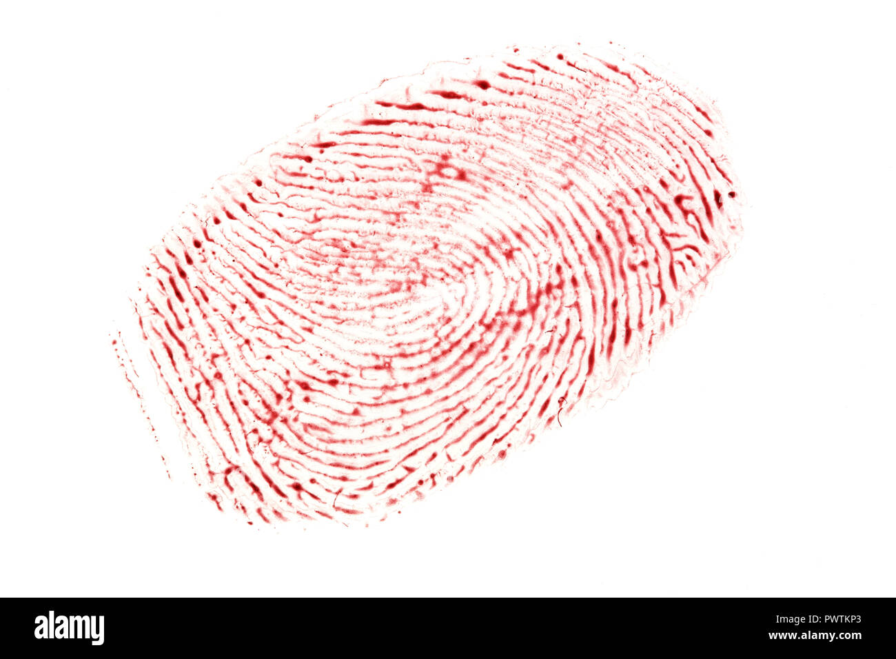 Bloody fingerprint isolated on a white background Stock Photo - Alamy