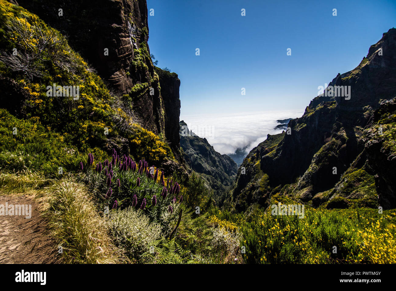 Colorful mountain ridge path with volcanic formations beside, Pico do ...