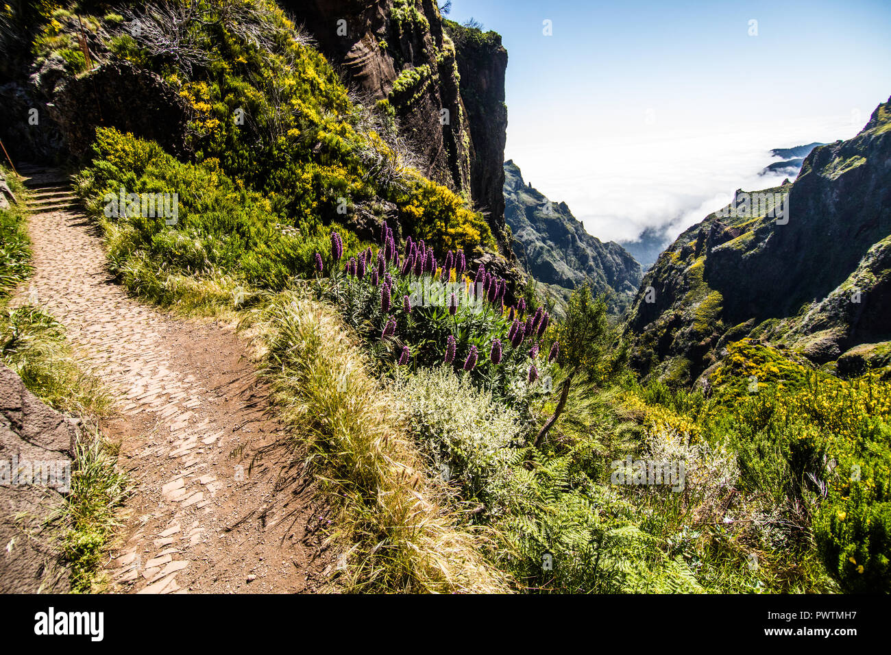 Colorful mountain ridge path with volcanic formations beside, Pico do ...