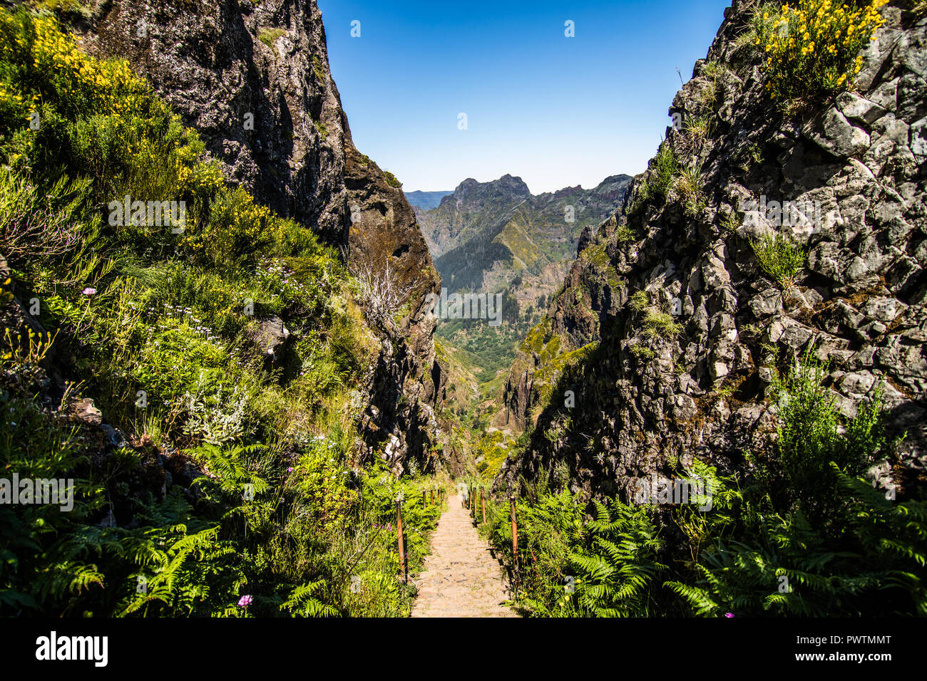 Colorful mountain ridge path with volcanic formations beside, Pico do ...