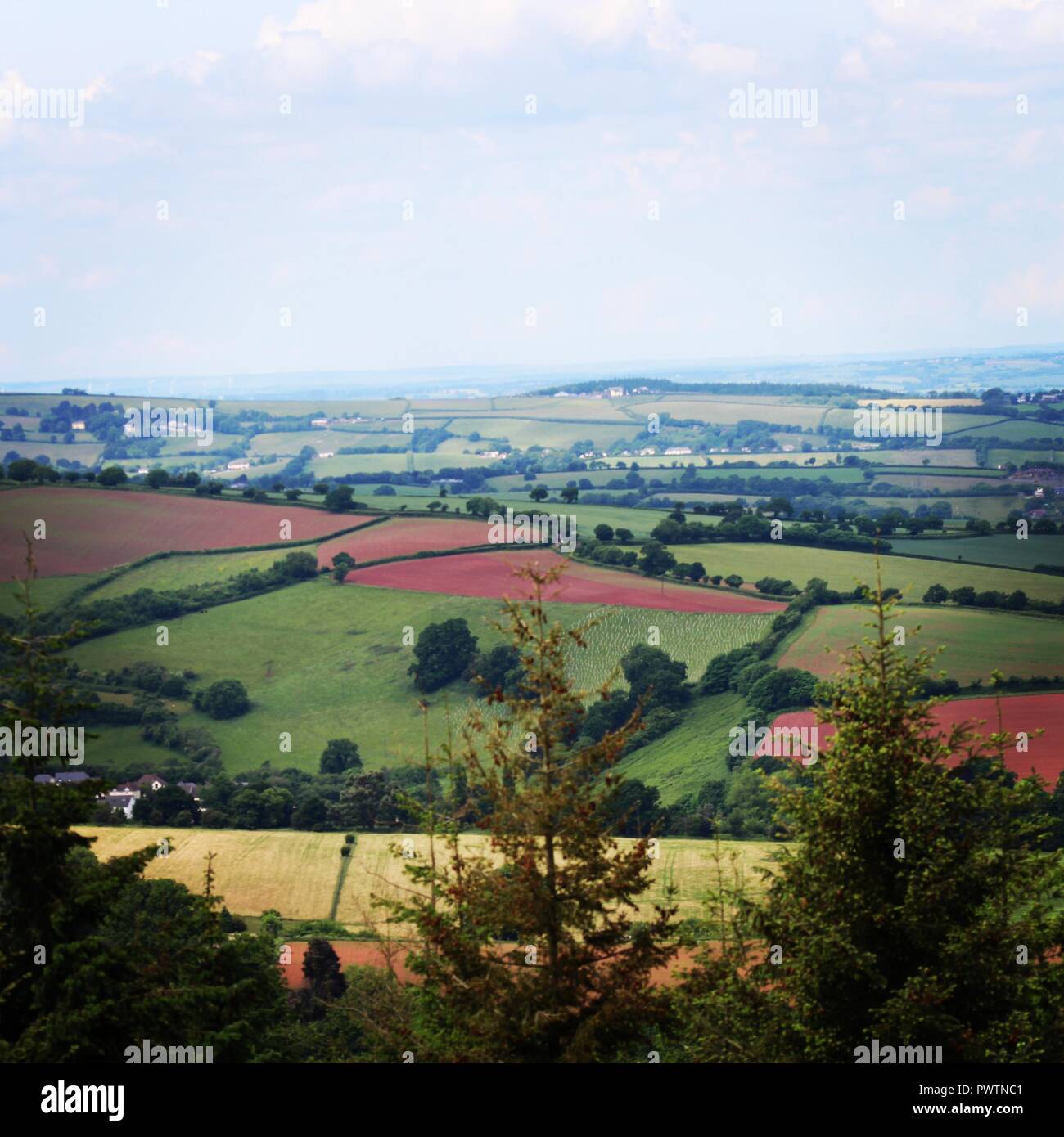 Devon fields hi-res stock photography and images - Alamy