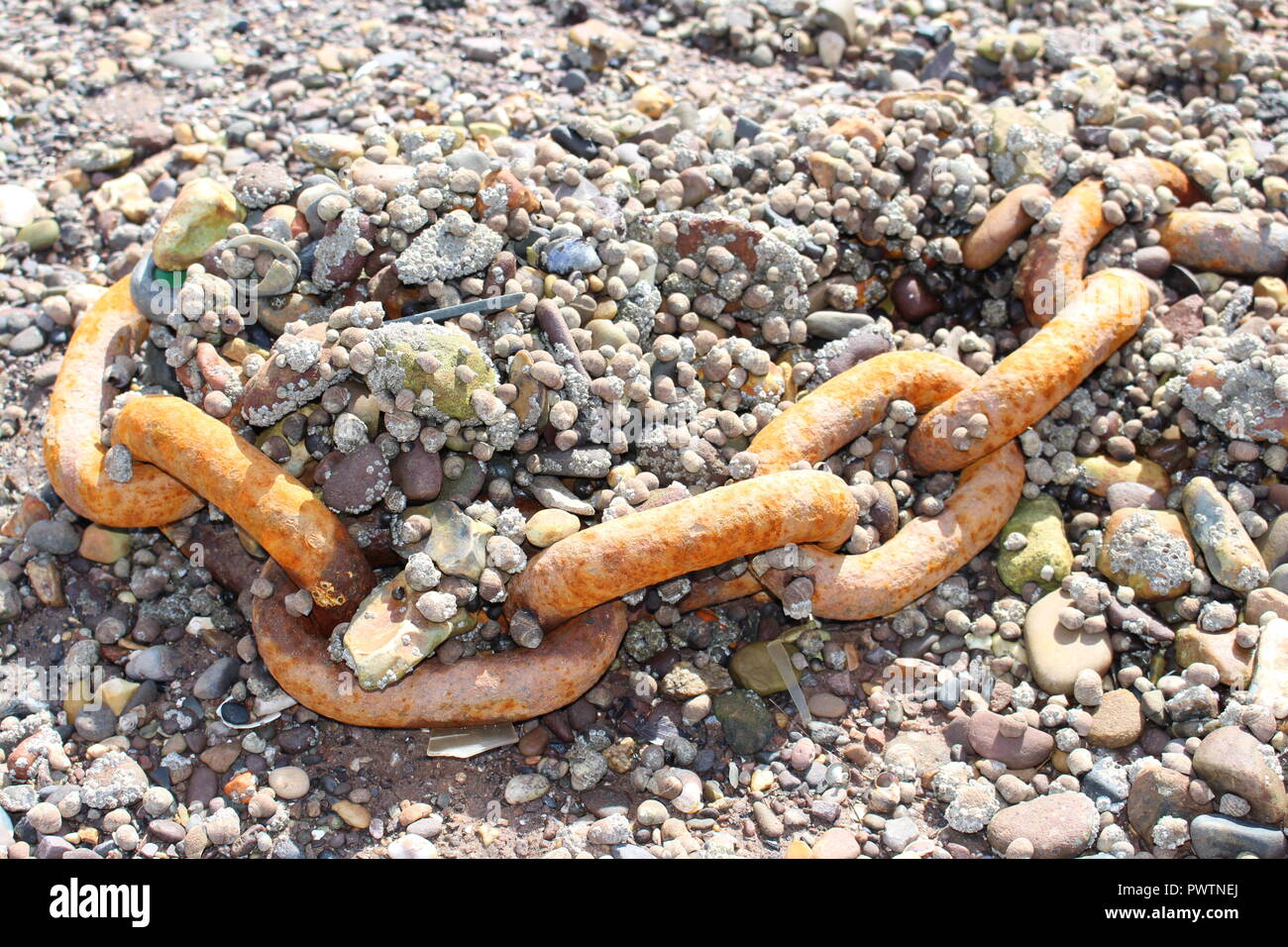 Anchor chain on beach Stock Photo - Alamy