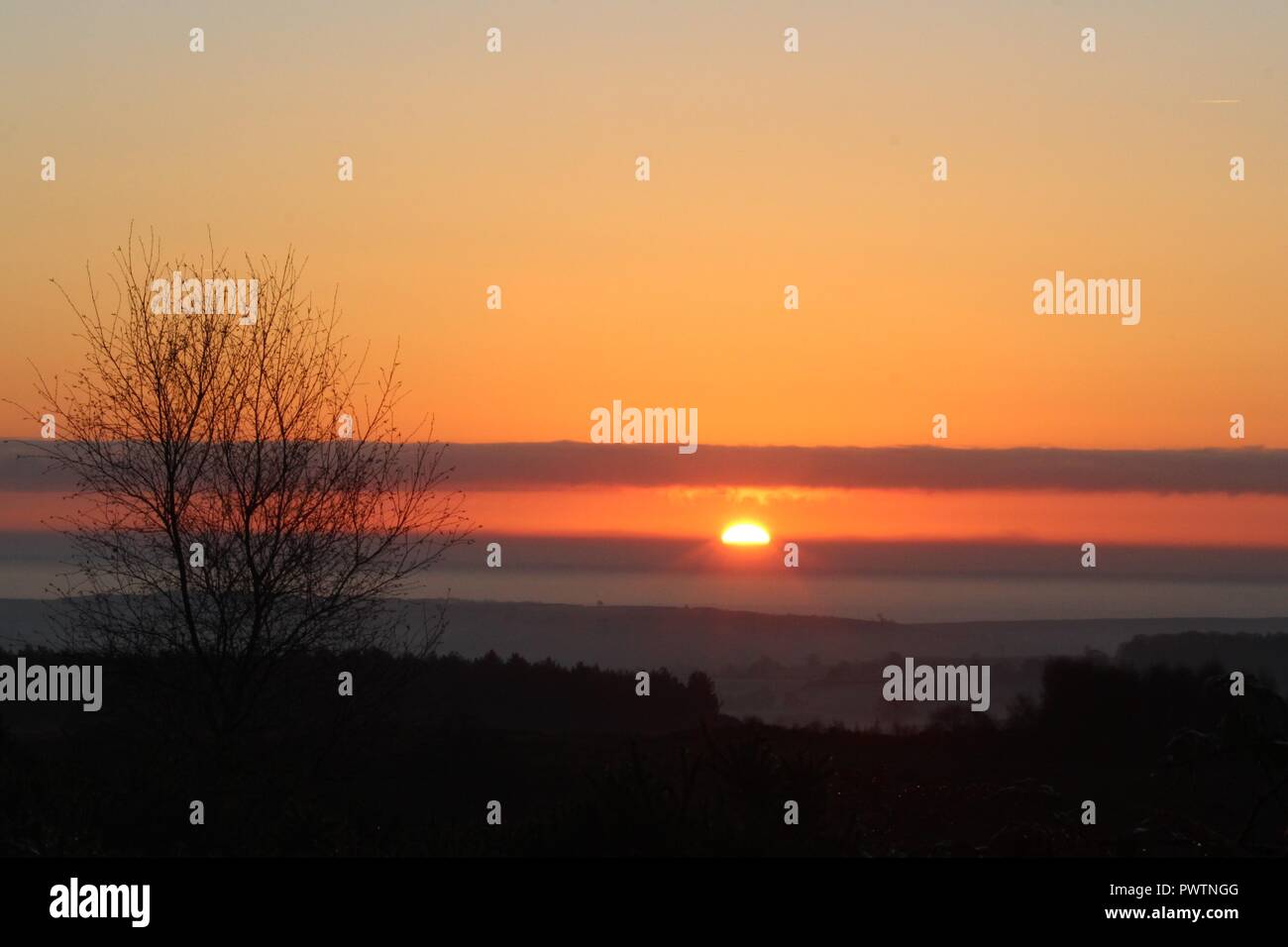 Early morning sunrise with trees Stock Photo - Alamy
