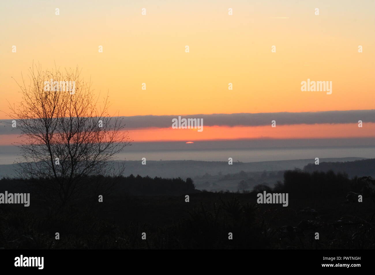 Early morning sunrise with trees Stock Photo - Alamy