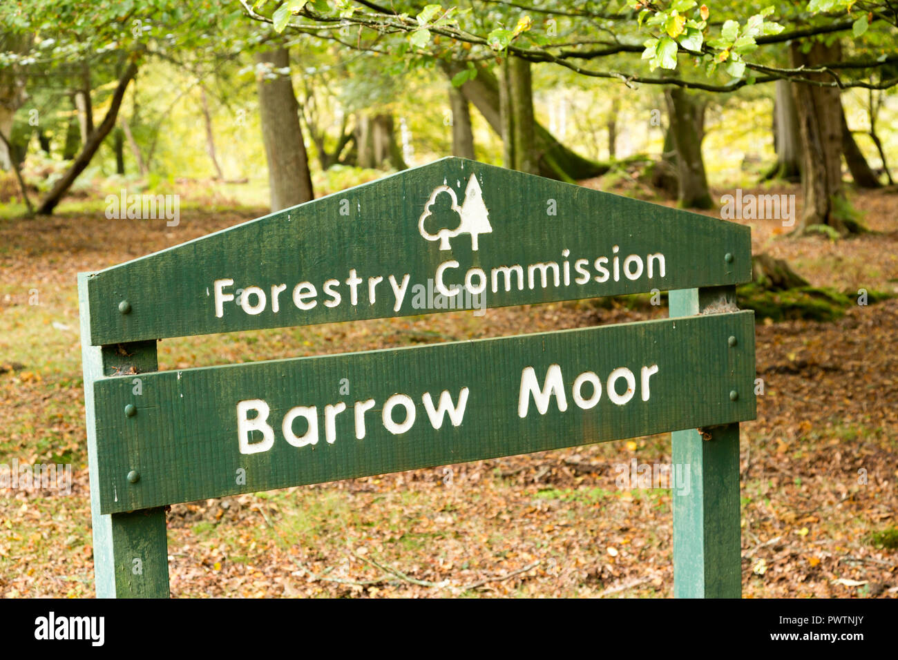 Barrow Moor sign in the New Forest, Hampshire. UK Stock Photo - Alamy