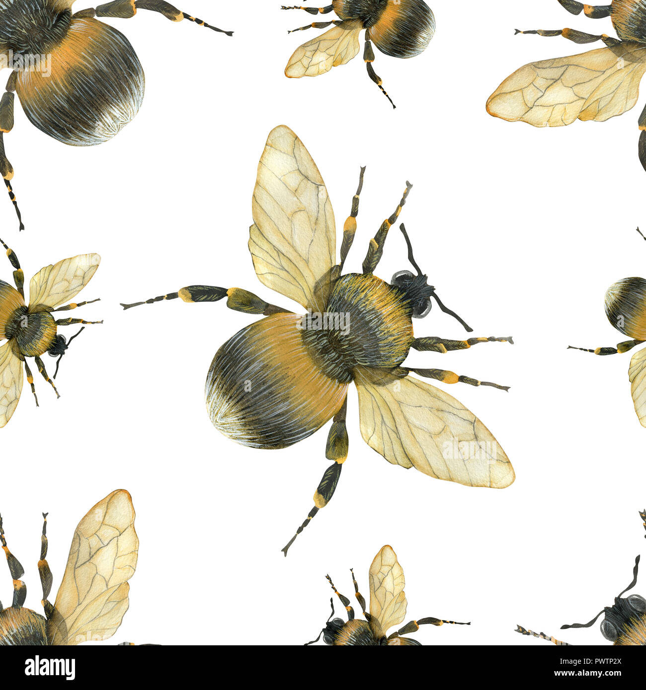 Watercolor seamless pattern Fuzzy Bubblebees. Realistic style, insects ...