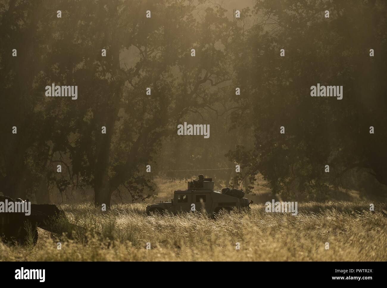 U.S. Army Reserve Soldiers from the 339th Military Police Company ...