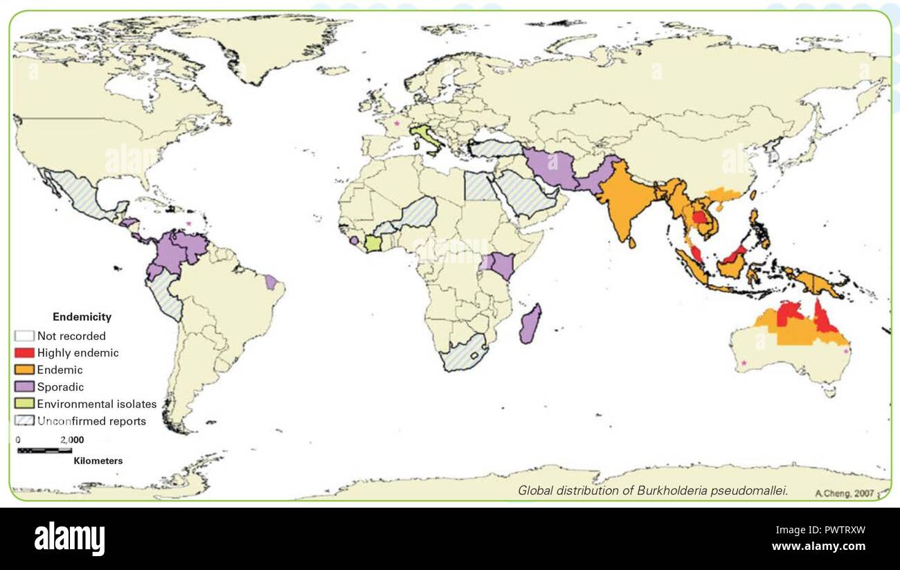 Global distribution of Burkholderia pseudomallei Stock Photo - Alamy