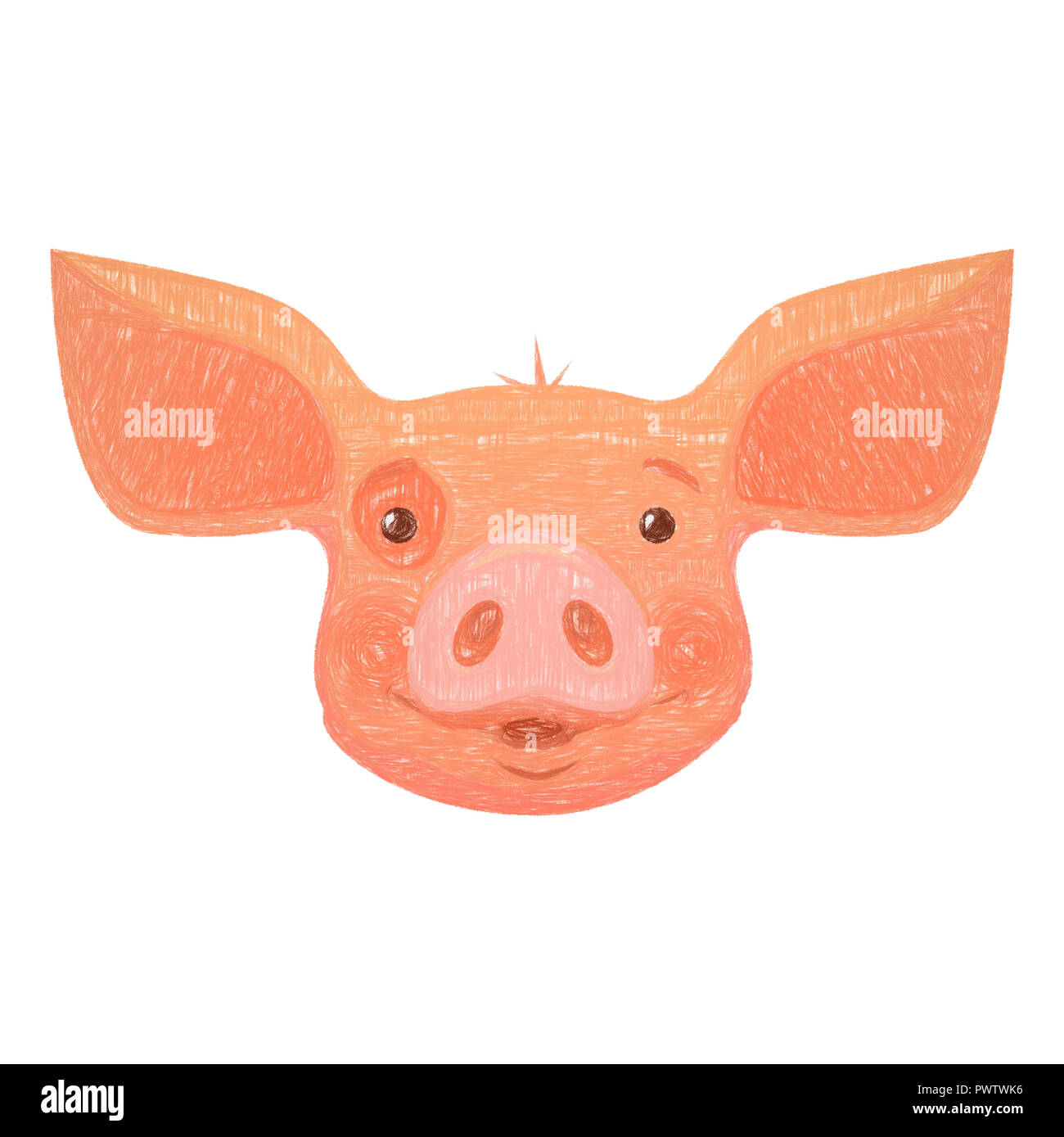 Cute pig cartoon. Pig head isolated illustration Stock Photo - Alamy