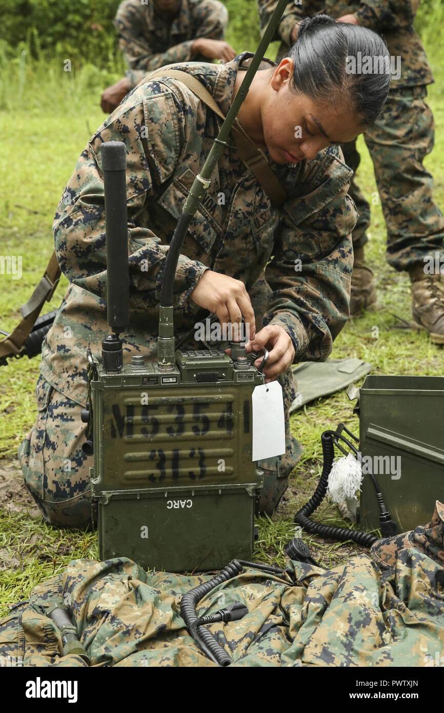 U.S. Marine Corps Sgt. Angie A. Novoa, 2nd Supply Battalion, Combat ...
