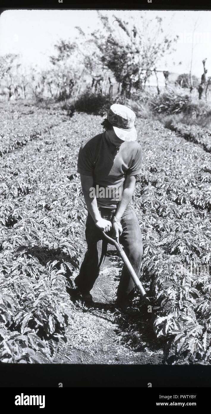 Miscellaneous photos of various people Stock Photo - Alamy