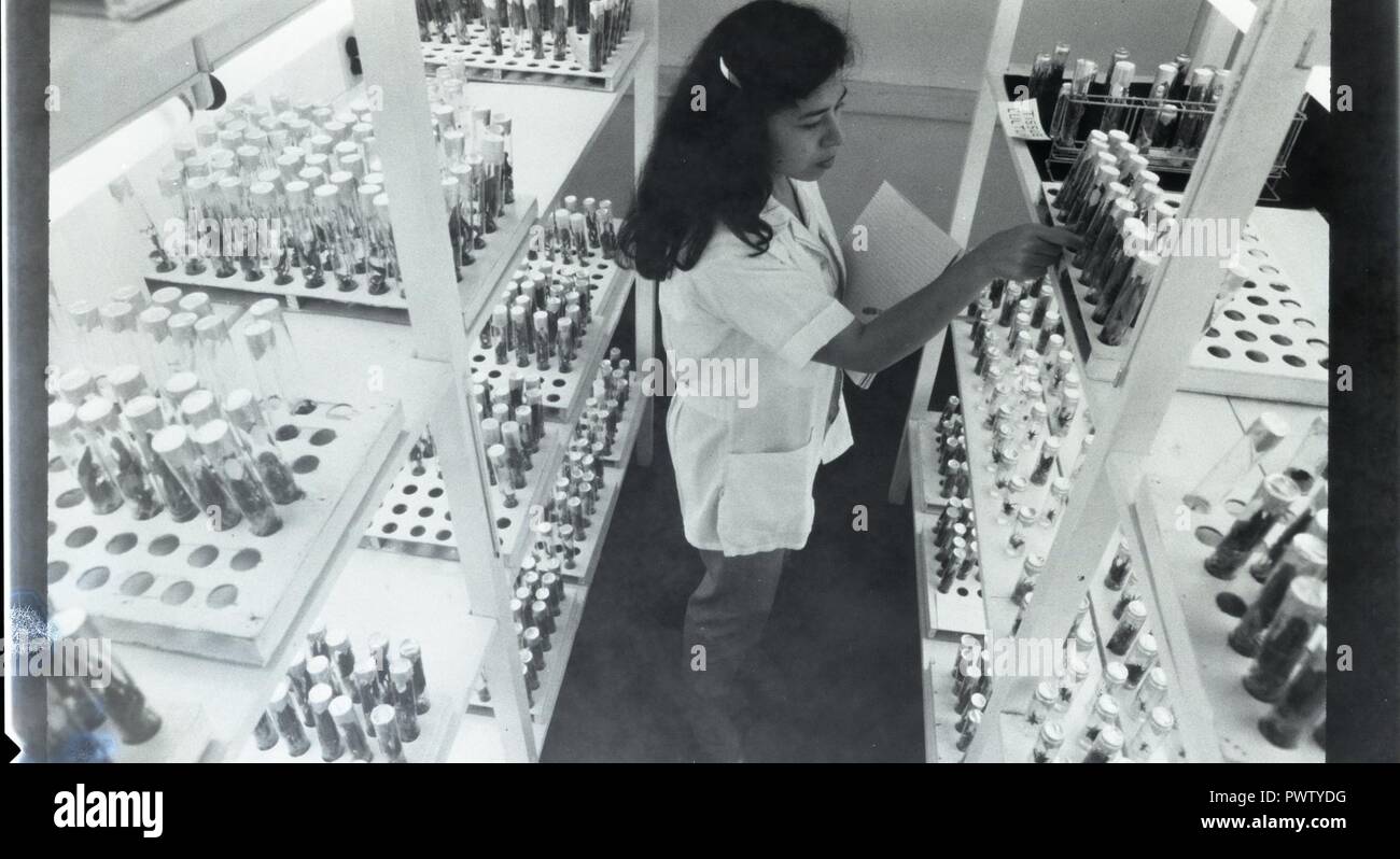 Miscellaneous photos of various people Stock Photo - Alamy