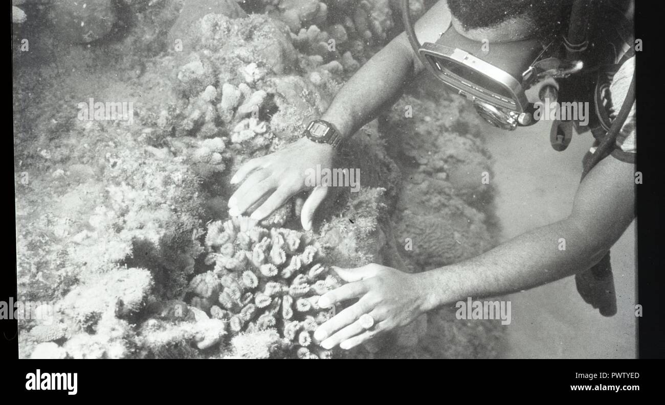 Miscellaneous photos of various people Stock Photo - Alamy